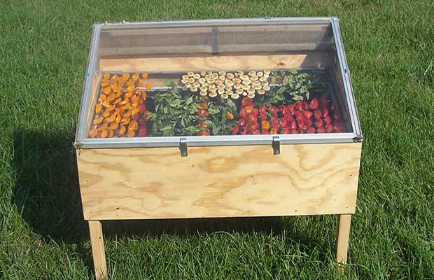 How to Preserve Tomatoes and Apples With a Homemade Solar Food Dryer ...